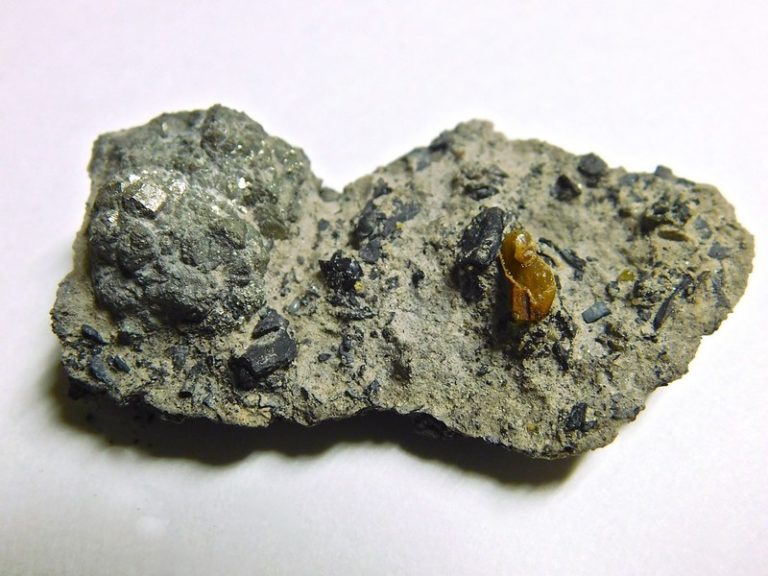 Where to Find Rocks | Dinosaur Aged Amber from the Sayreville New ...