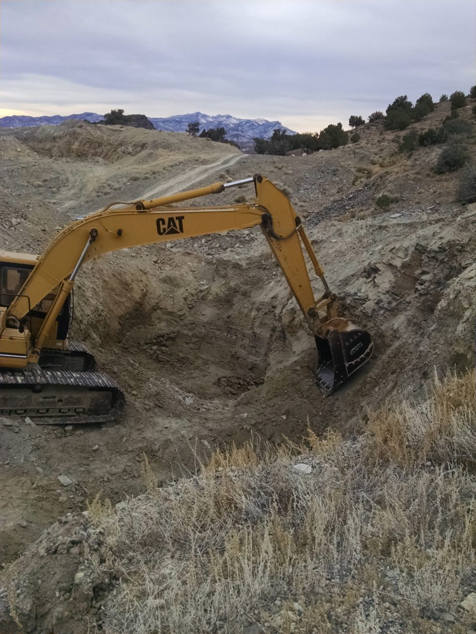 Visit the Trilobyte Me! Quarry in Delta, Utah for a Gourmet Trilobite ...